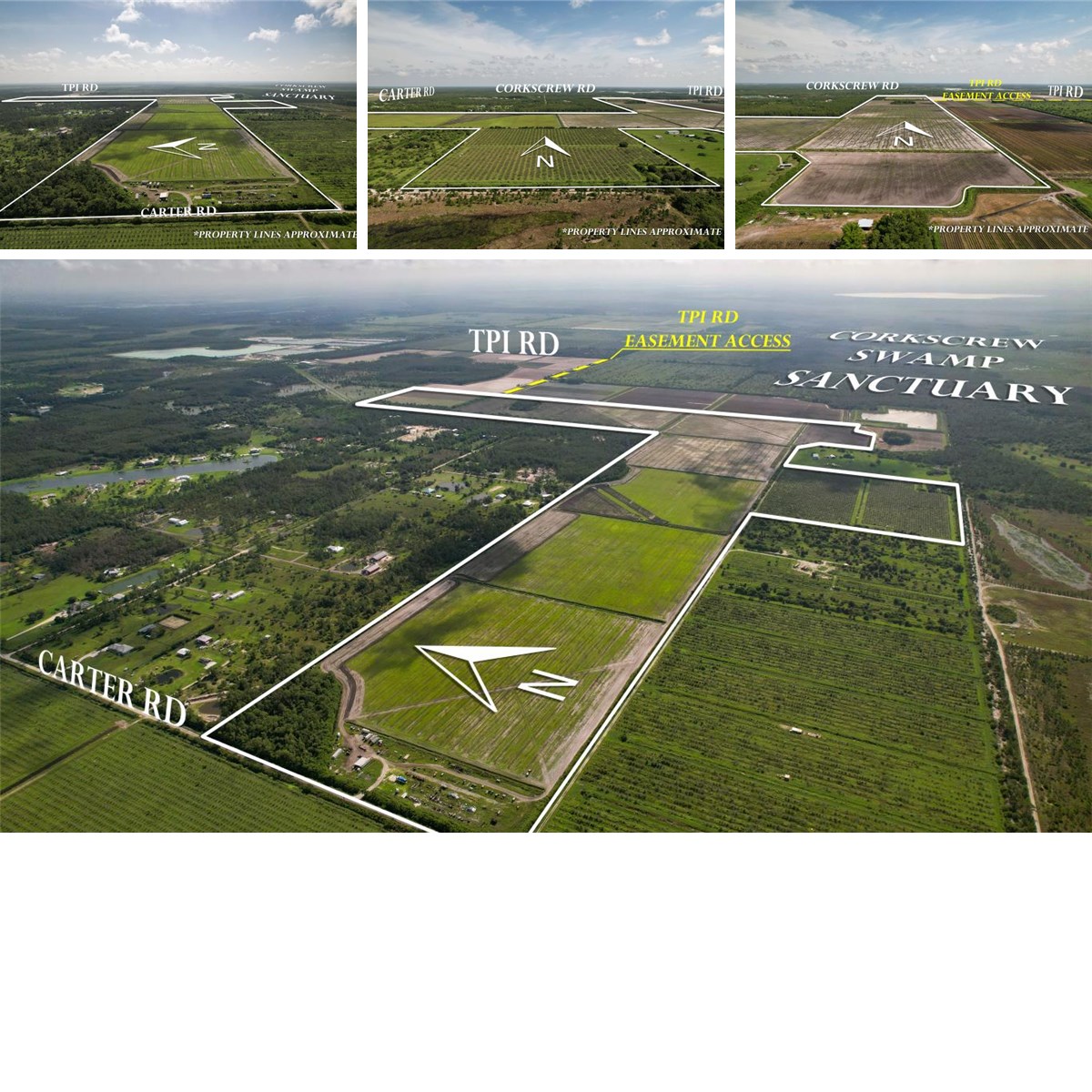 21601 Carter Rd, Estero, FL 33928